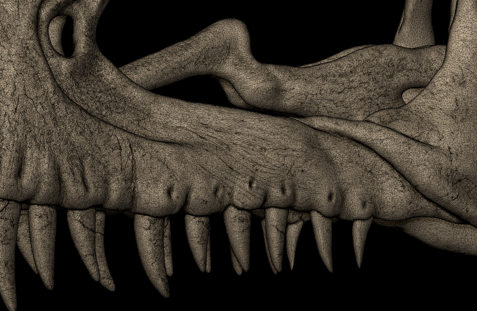 3D Model Dilophosaurus Skull - TurboSquid 2395189