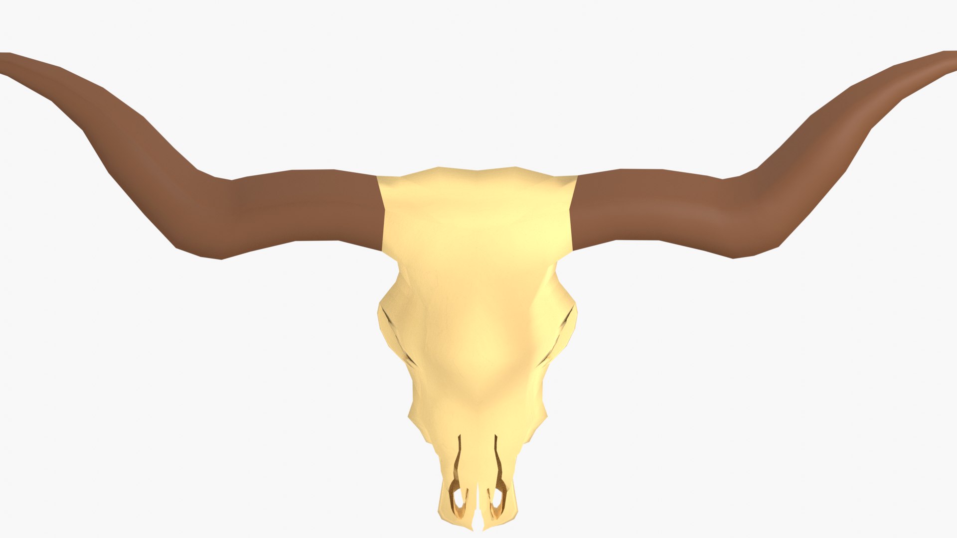 Steer Skull Model - TurboSquid 1813627