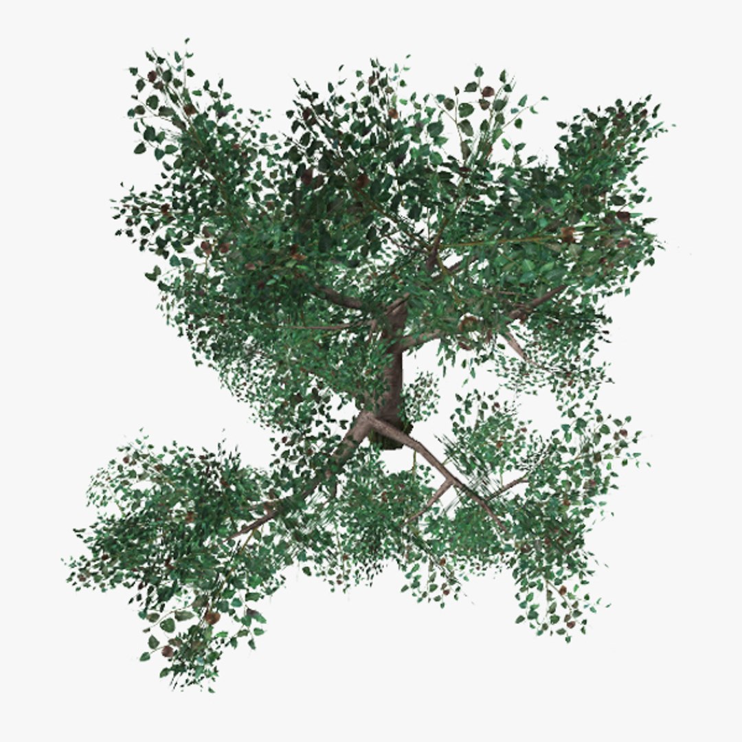 Tree 3d Max