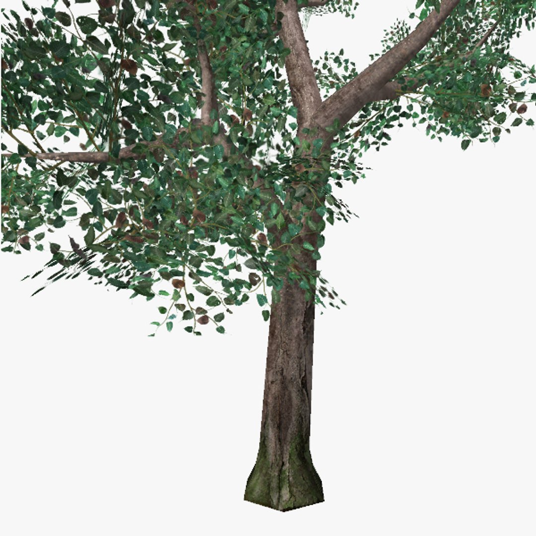 Tree 3d Max