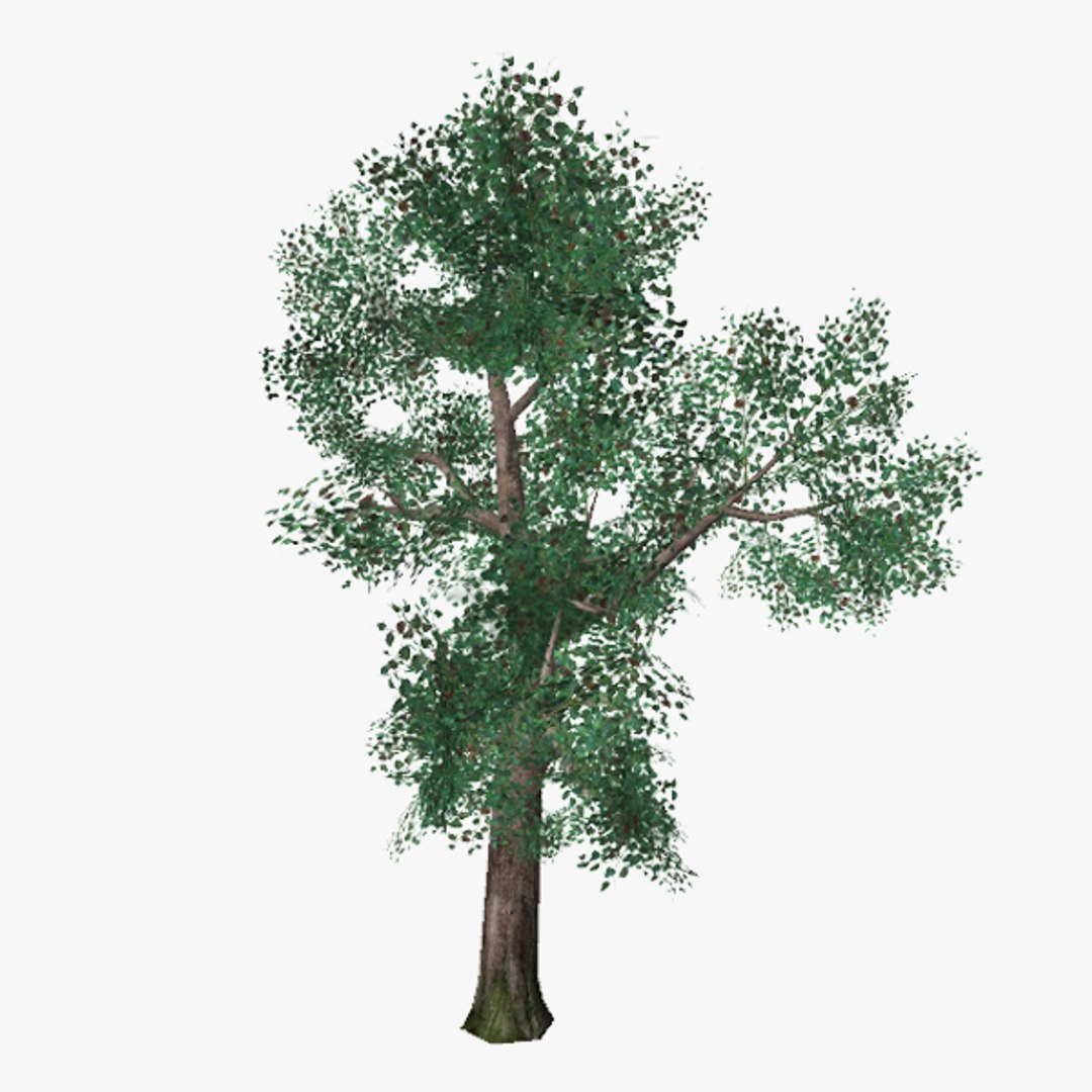 Tree 3d Max