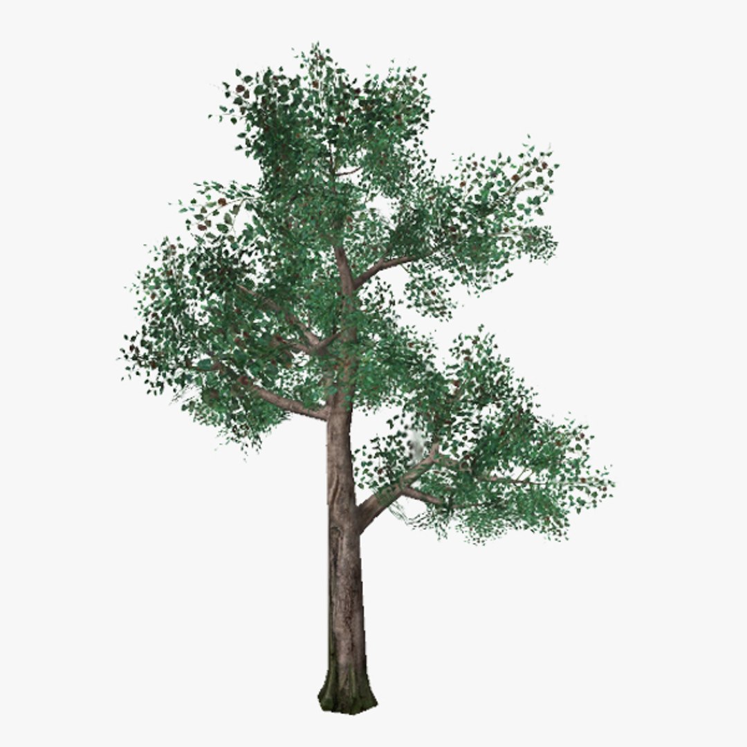 Tree 3d Max