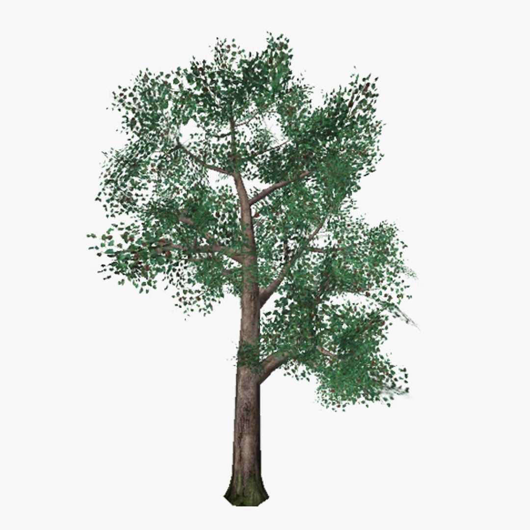 Tree 3d Max
