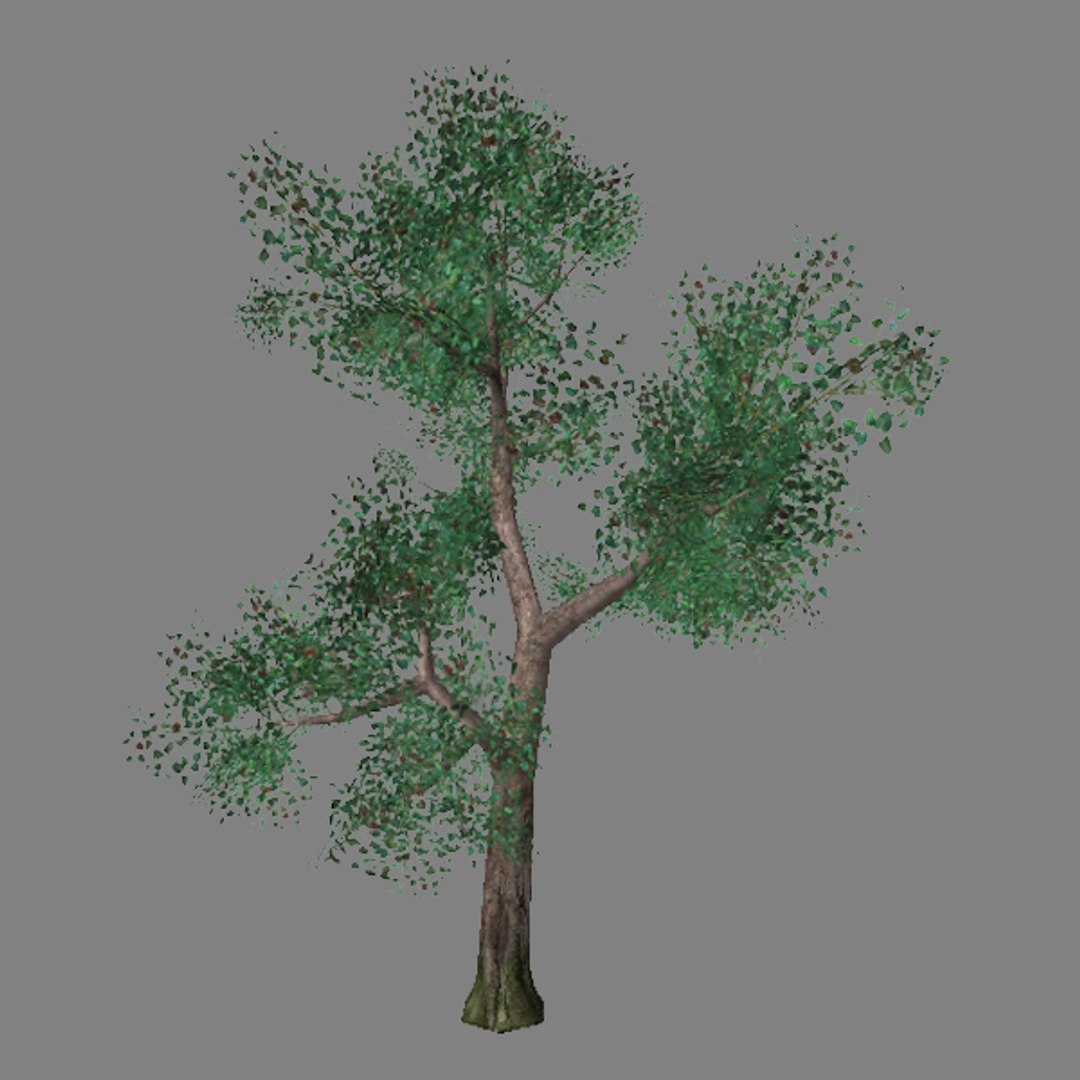 Tree 3d Max