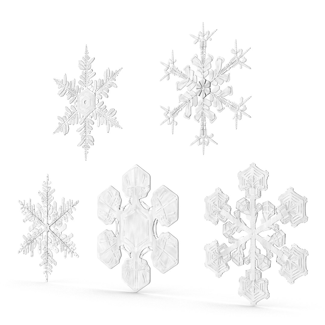 3d model snowflakes set realistic