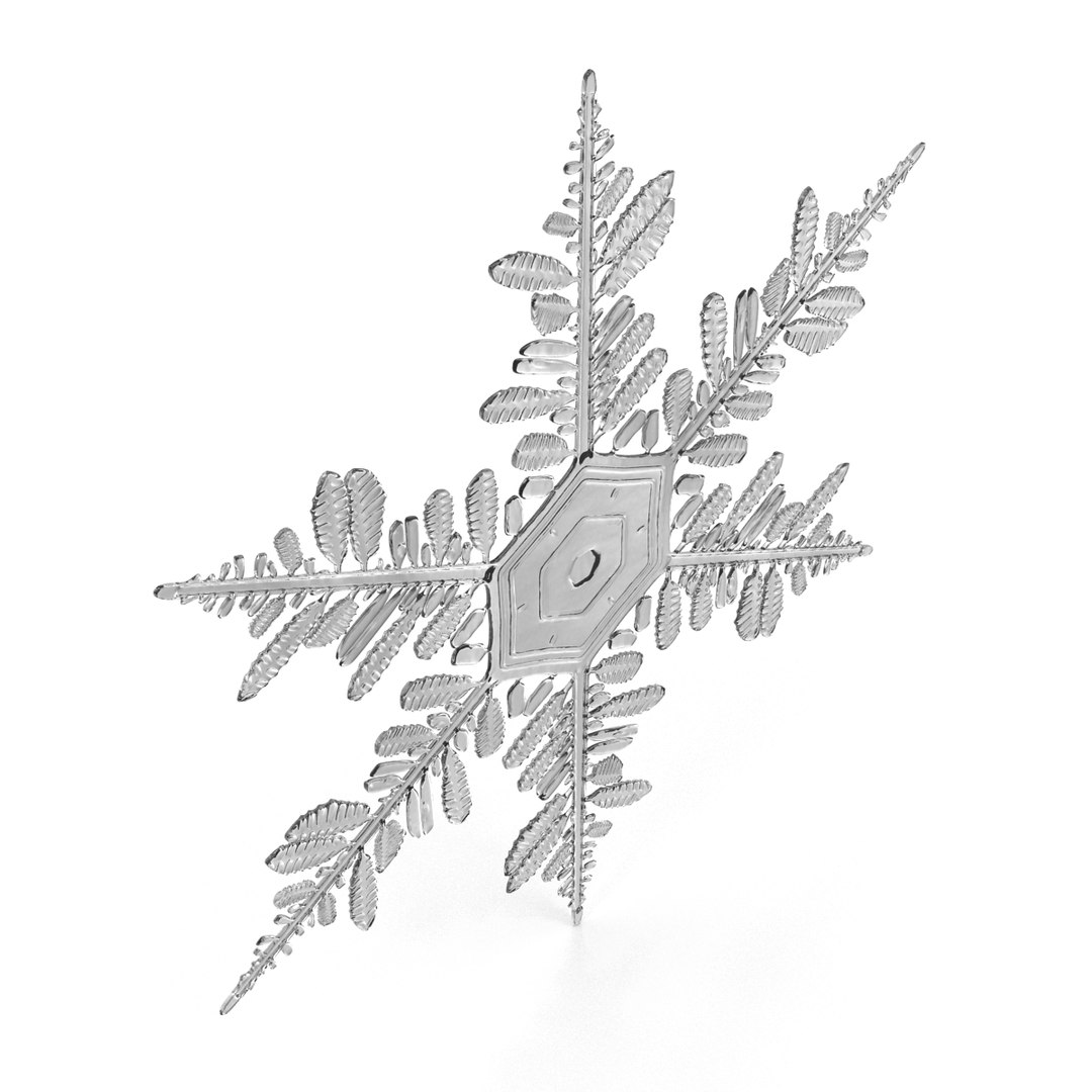 3d model snowflakes set realistic