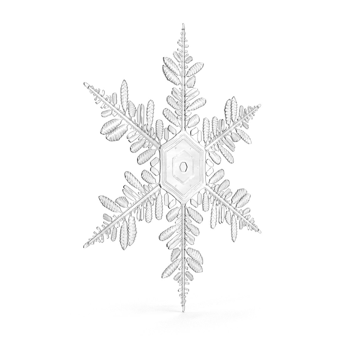 3d model snowflakes set realistic