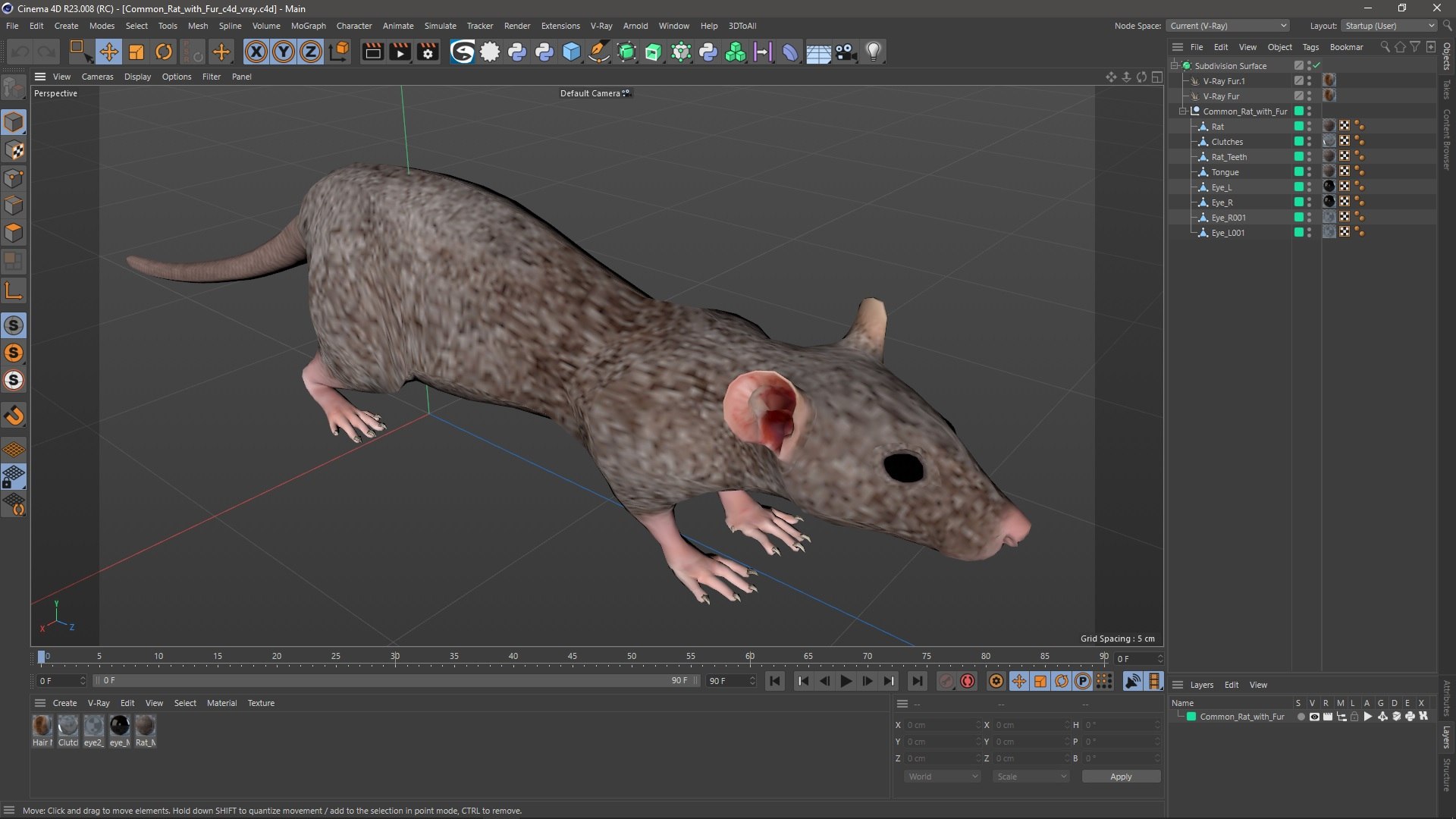 3D Model Common Rat With Fur For Cinema 4D - TurboSquid 2288127