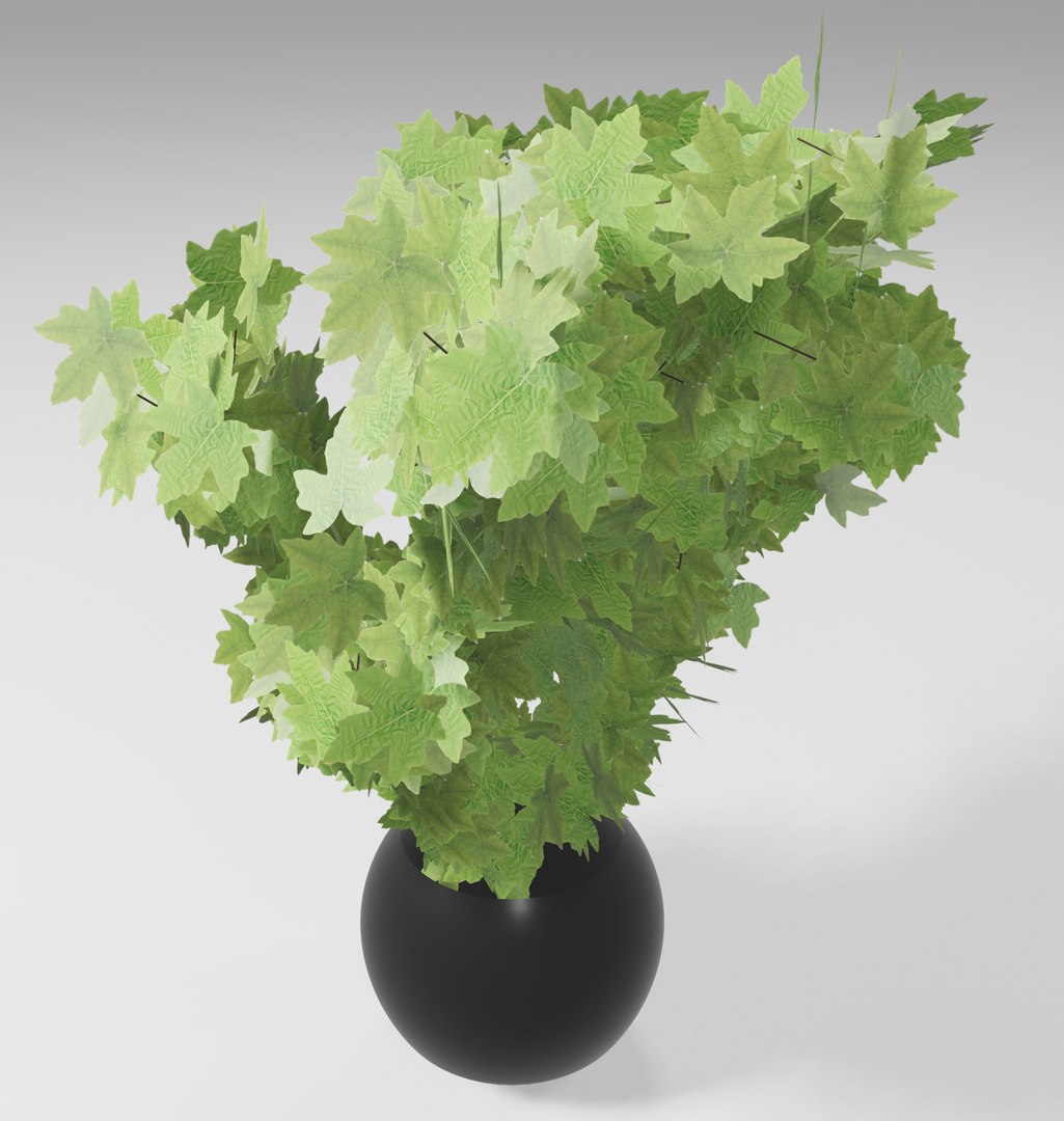 Pot Plant Blender OBJ 3D Model - TurboSquid 1967607