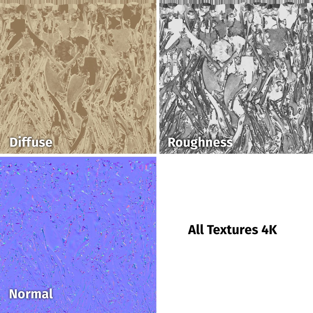 3D Raven Model - TurboSquid 2106395