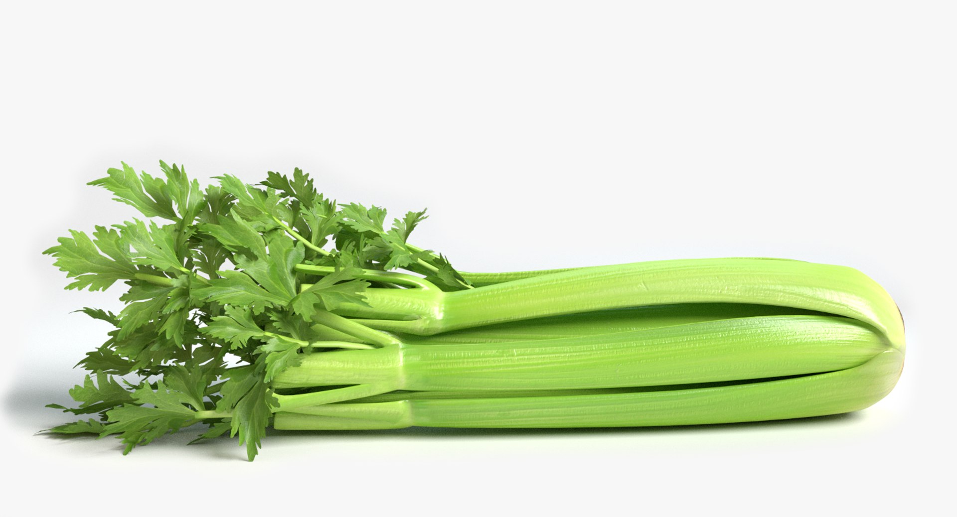 celery 3ds