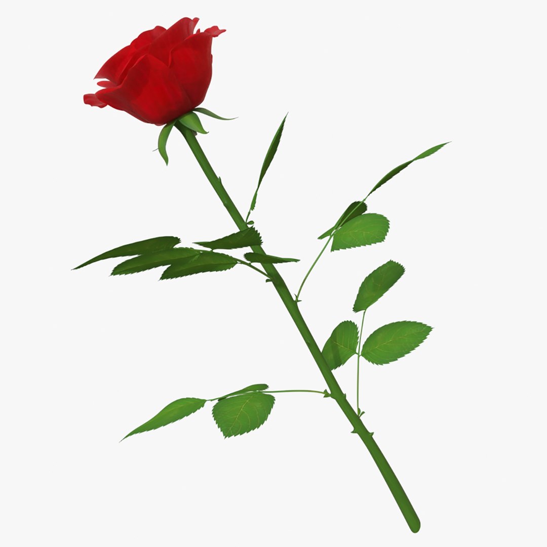 3D Rose Model - TurboSquid 1198220