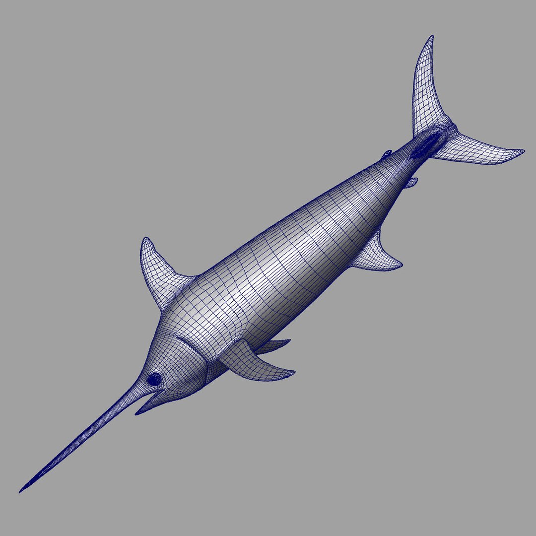 3D Swordfish - TurboSquid 1151493