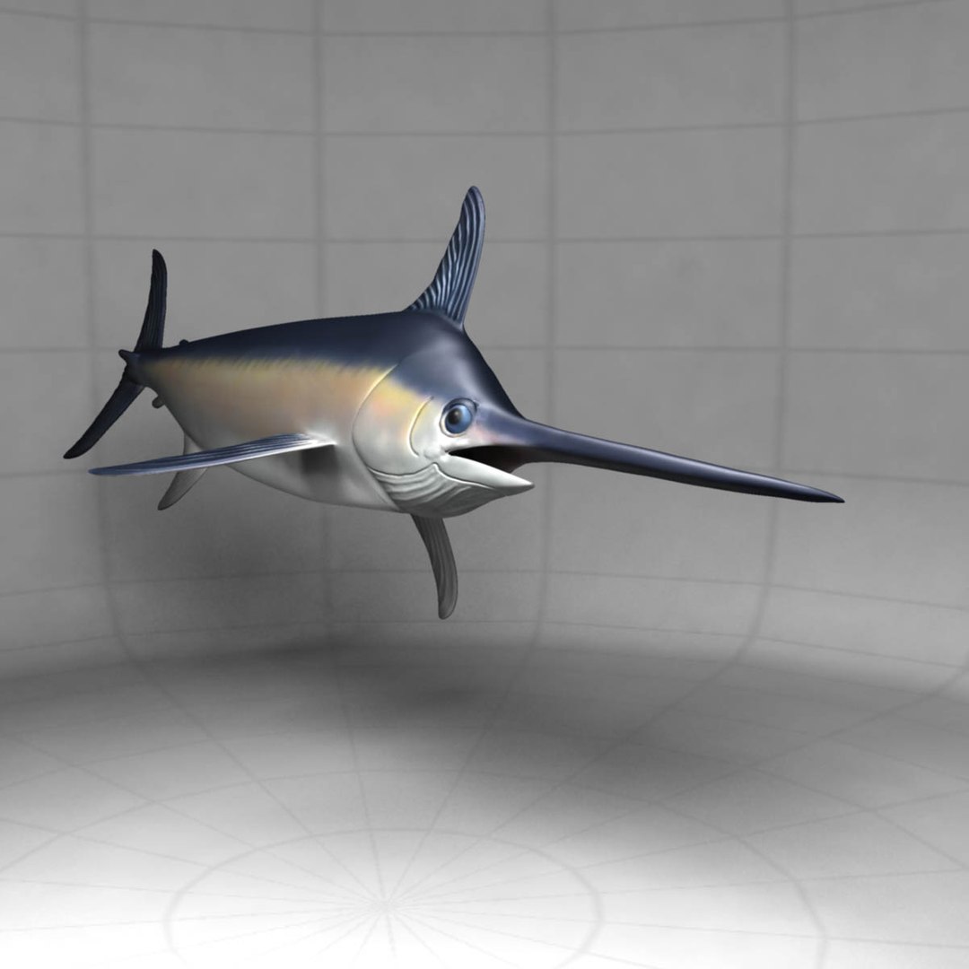 3D Swordfish - TurboSquid 1151493