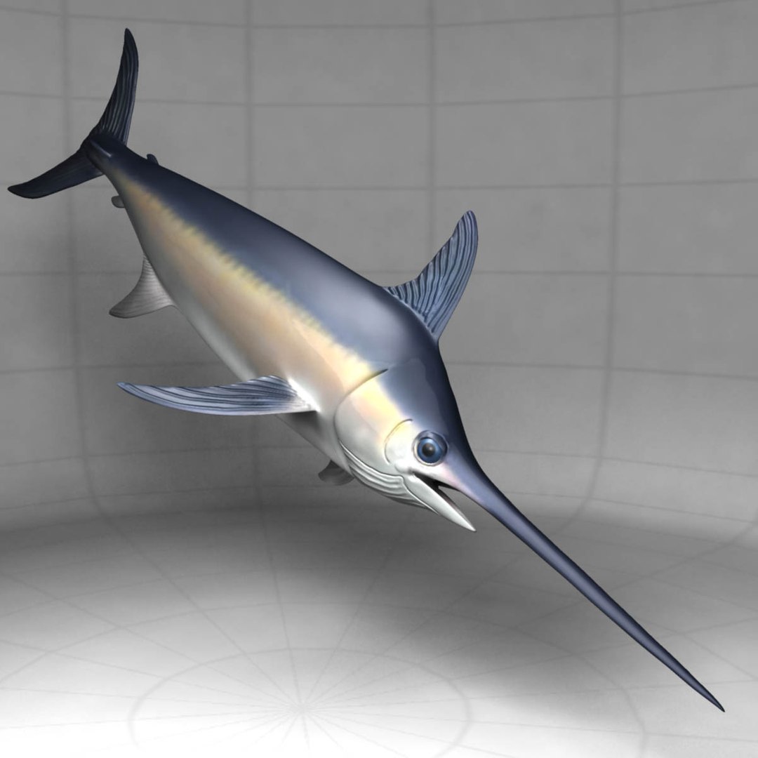 3D Swordfish - TurboSquid 1151493