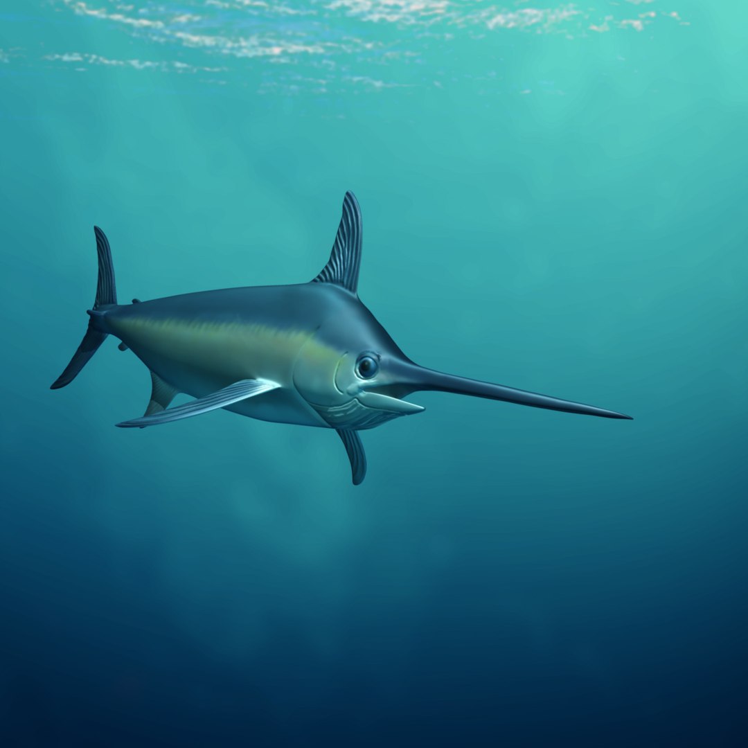 3D Swordfish - TurboSquid 1151493