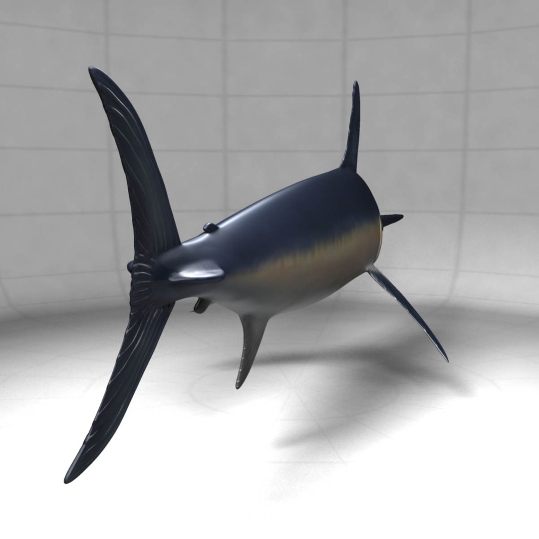 3D Swordfish - TurboSquid 1151493