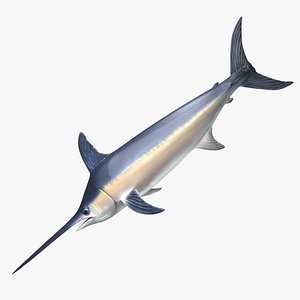 3D Swordfish Models - Browse & Download Formats - TurboSquid