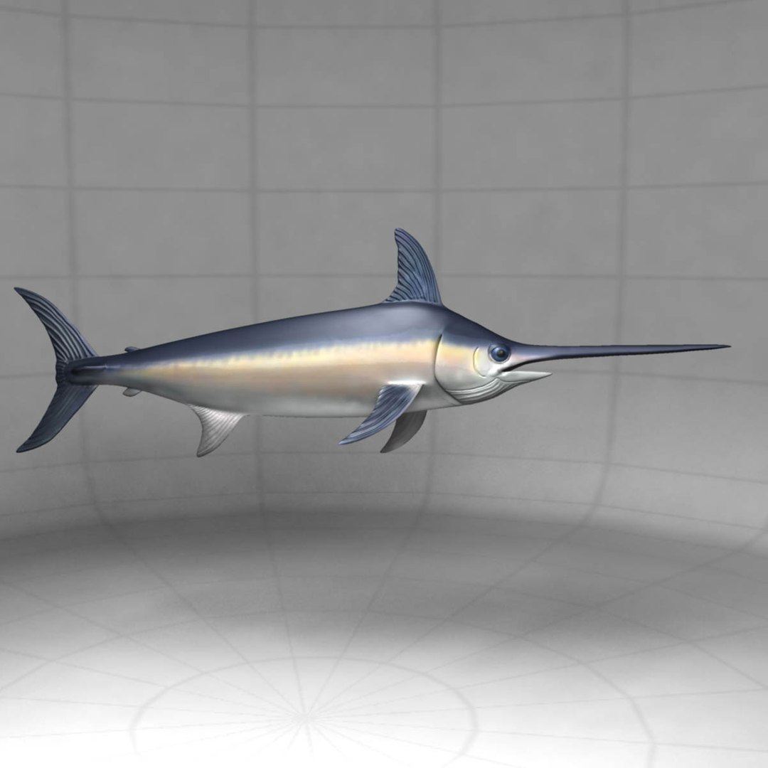 3D Swordfish - TurboSquid 1151493