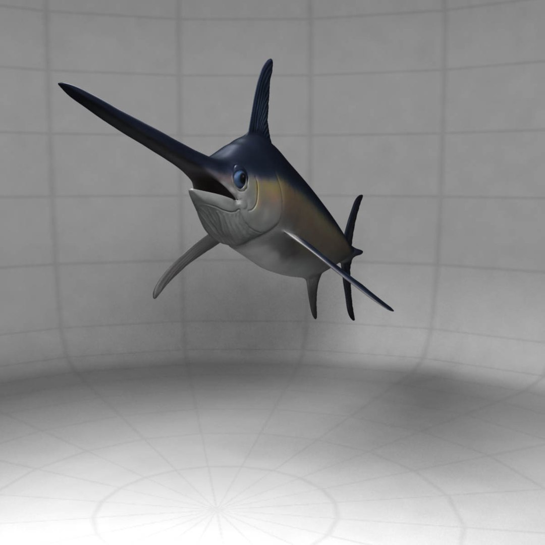 3D Swordfish - TurboSquid 1151493