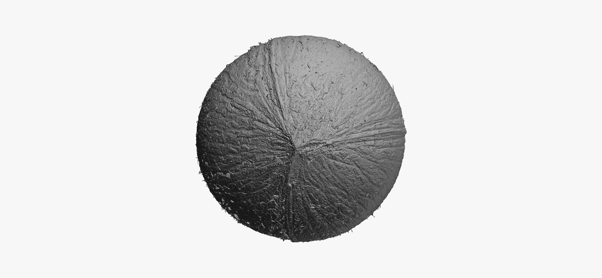 Coconut 03 Raw Scan 3D Model - TurboSquid 1641903