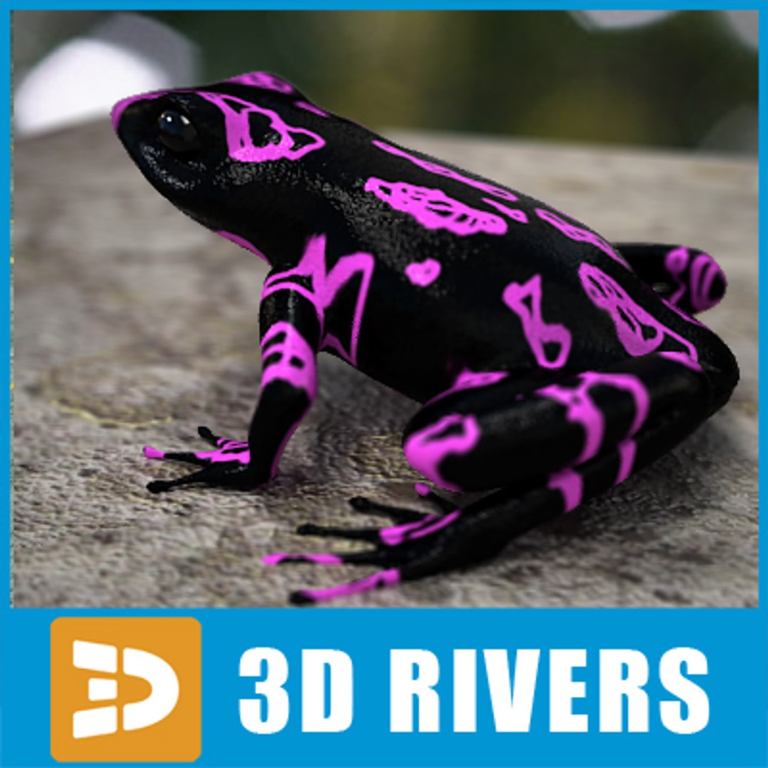 Atelopus Frog 3d Model