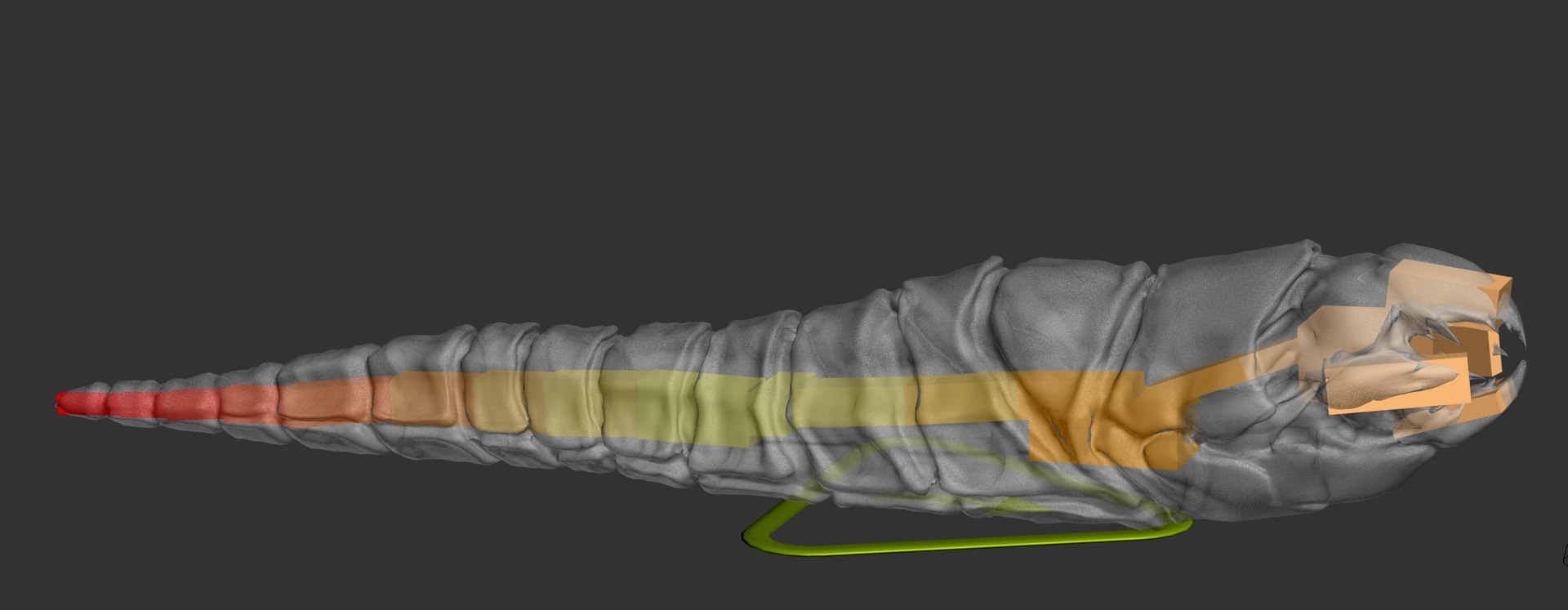 Bone worm model - TurboSquid 1891439