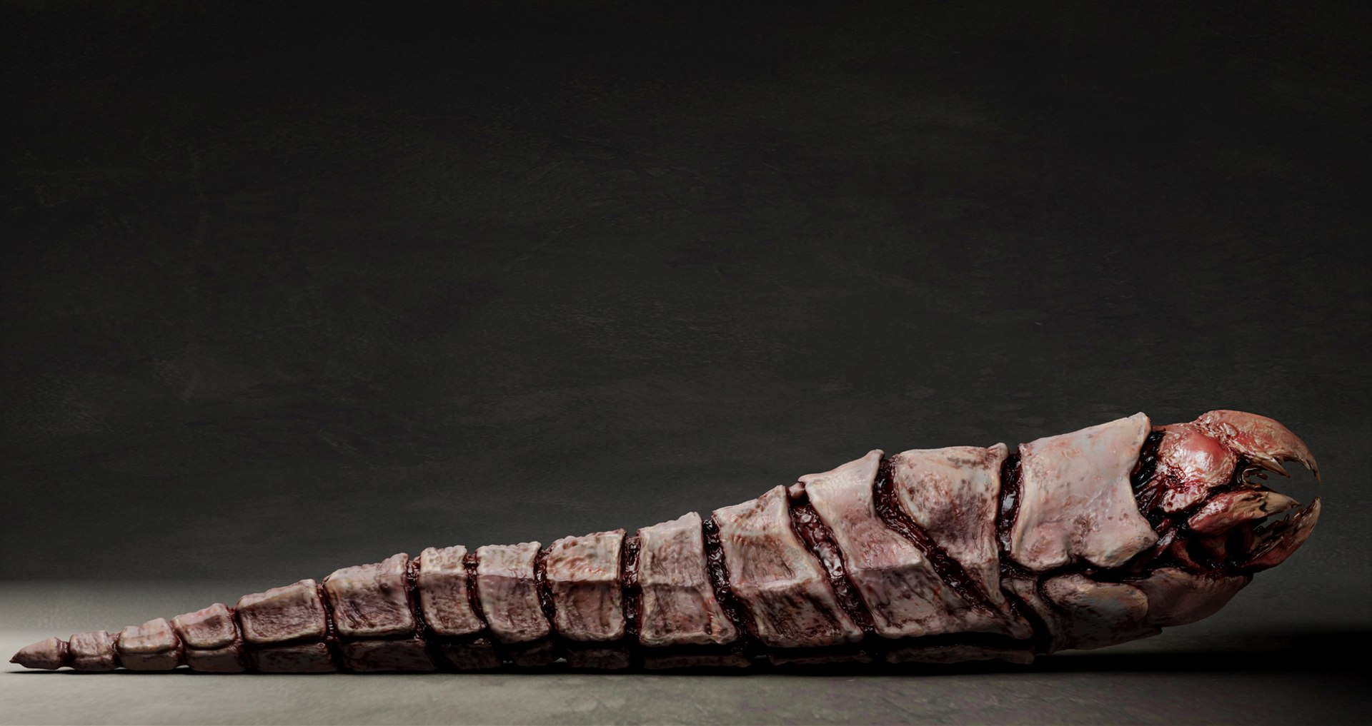 Bone worm model - TurboSquid 1891439