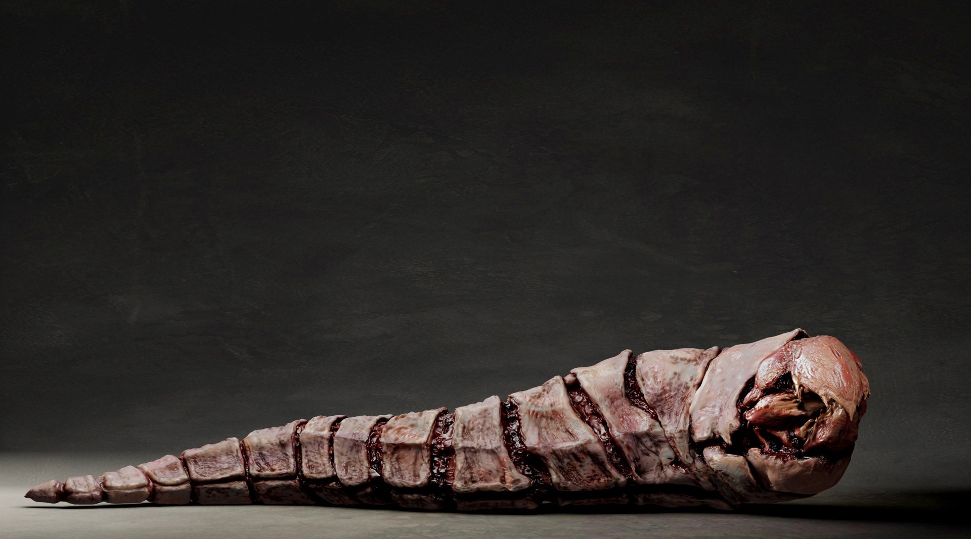 Bone worm model - TurboSquid 1891439