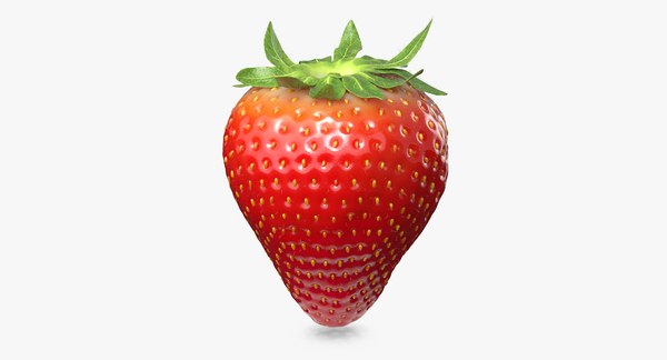 Strawberry real fur 3D model - TurboSquid 1274931