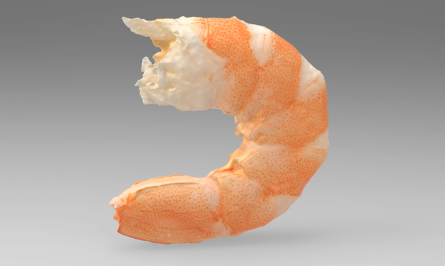 3D Boiled Shrimp Model - TurboSquid 2168697