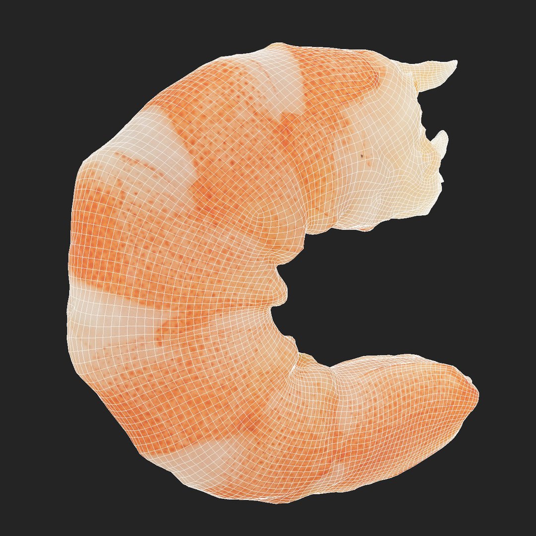 3D Boiled Shrimp Model - TurboSquid 2168697
