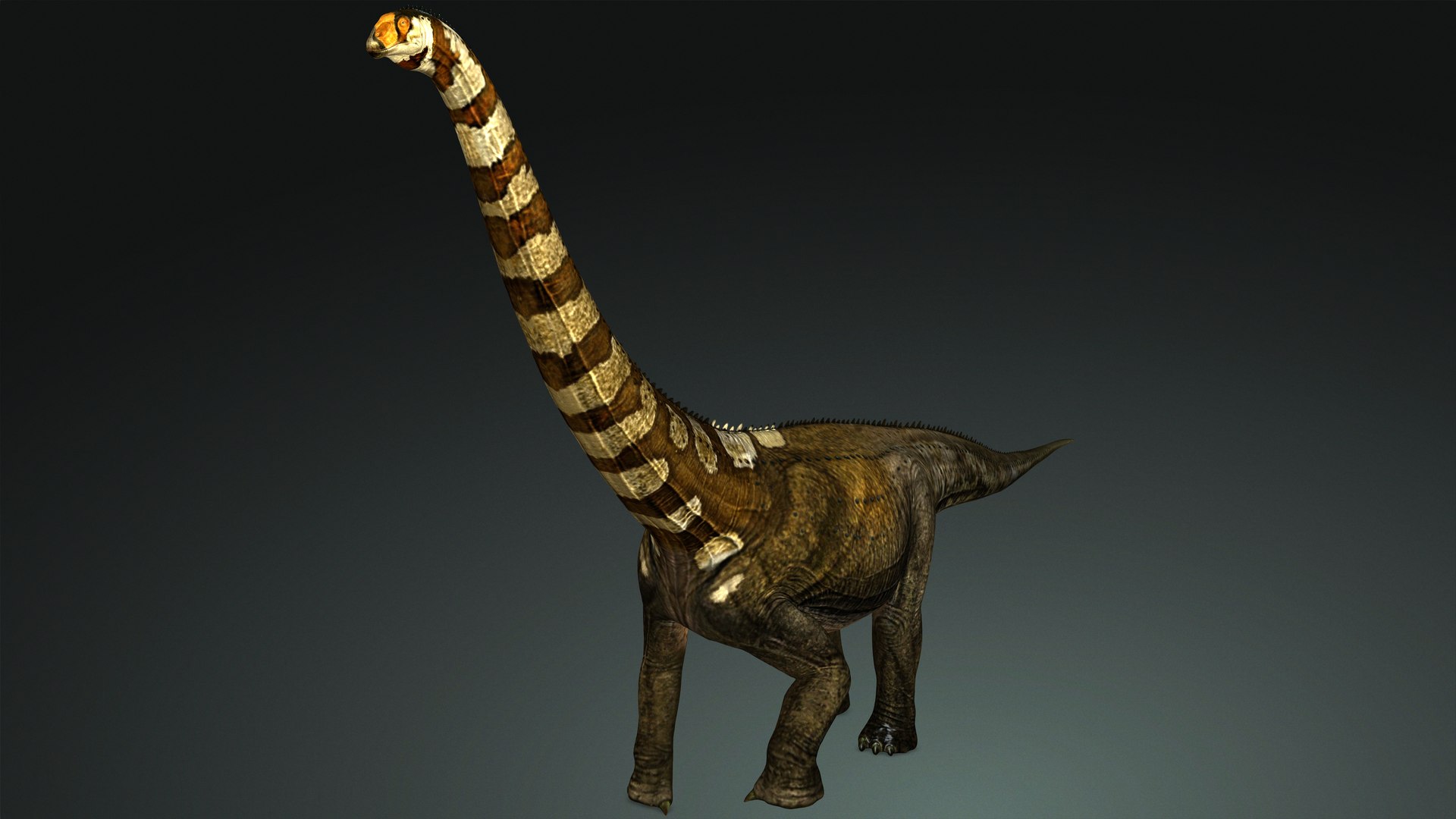 Puertasaurus