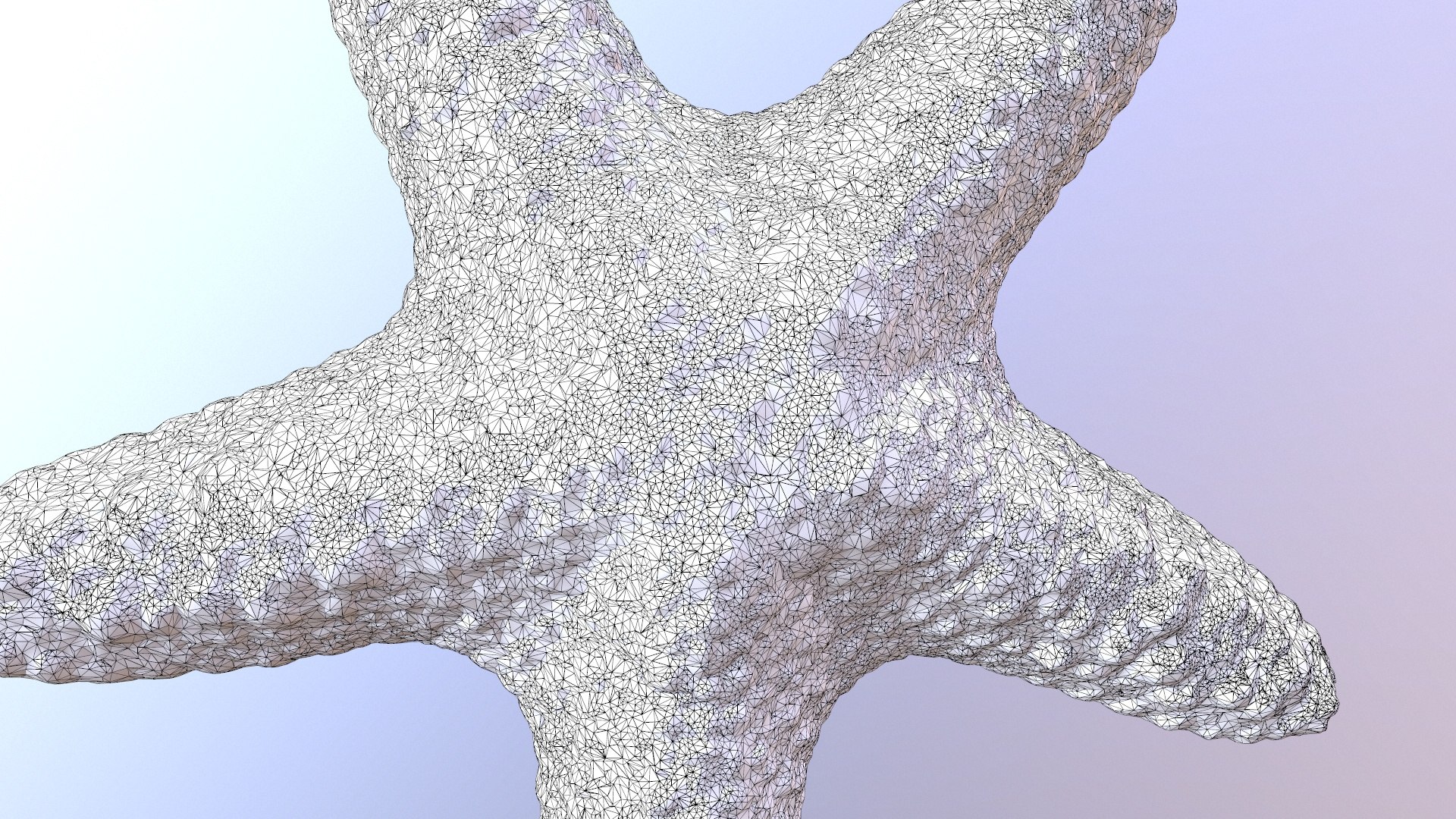 3D Starfish Model - TurboSquid 2439299