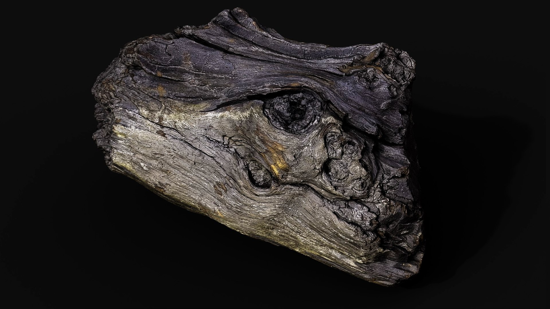 Wood Log Broken Tree Archeology Photogrammetry 3D Model - TurboSquid ...