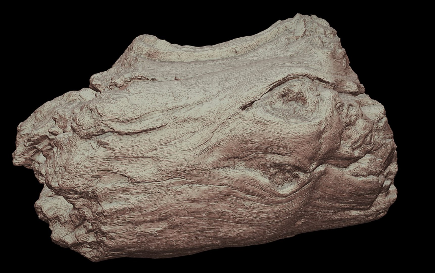 Wood Log Broken Tree Archeology Photogrammetry 3D Model - TurboSquid ...