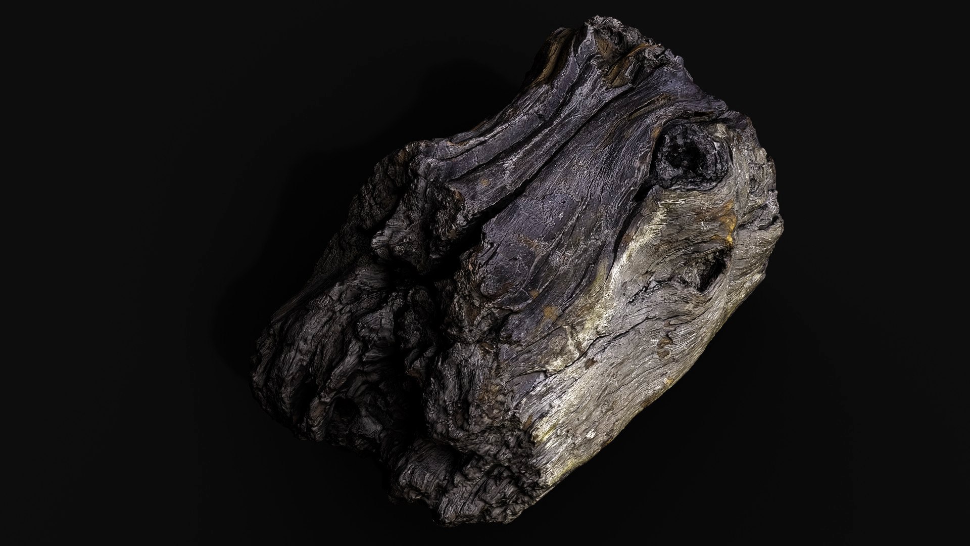 Wood Log Broken Tree Archeology Photogrammetry 3D Model - TurboSquid ...