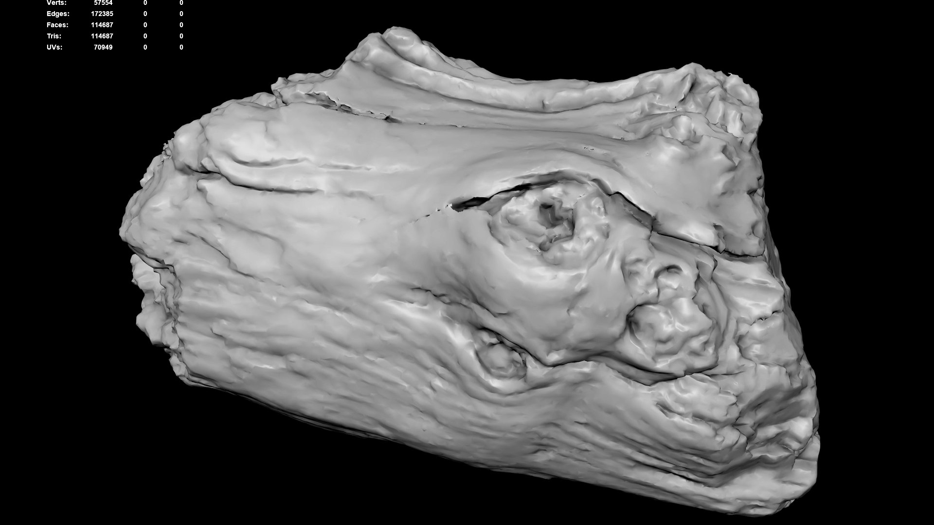 Wood Log Broken Tree Archeology Photogrammetry 3D Model - TurboSquid ...