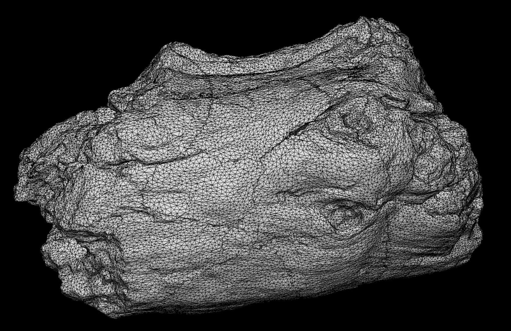 Wood Log Broken Tree Archeology Photogrammetry 3D Model - TurboSquid ...