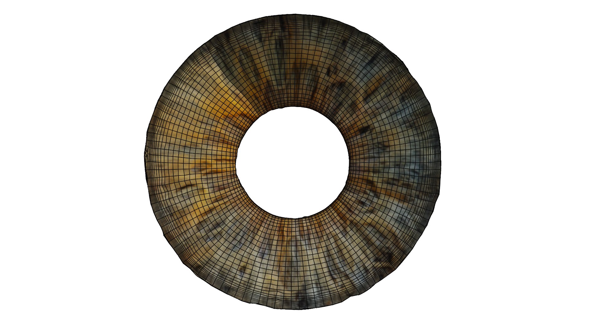 Human Iris Of The Eye 3D - TurboSquid 2103048