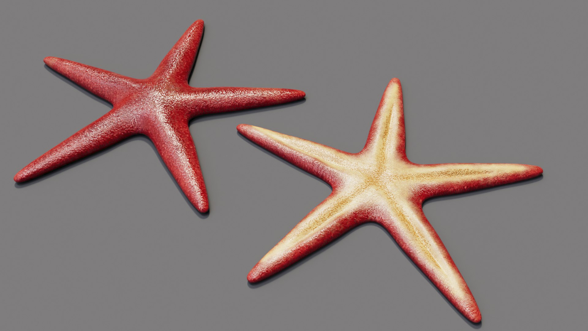 Red Starfish Blood Star 3D Model - TurboSquid 2050845