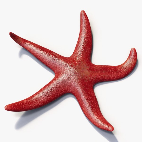 Red Starfish Blood Star 3D model - TurboSquid 2050845