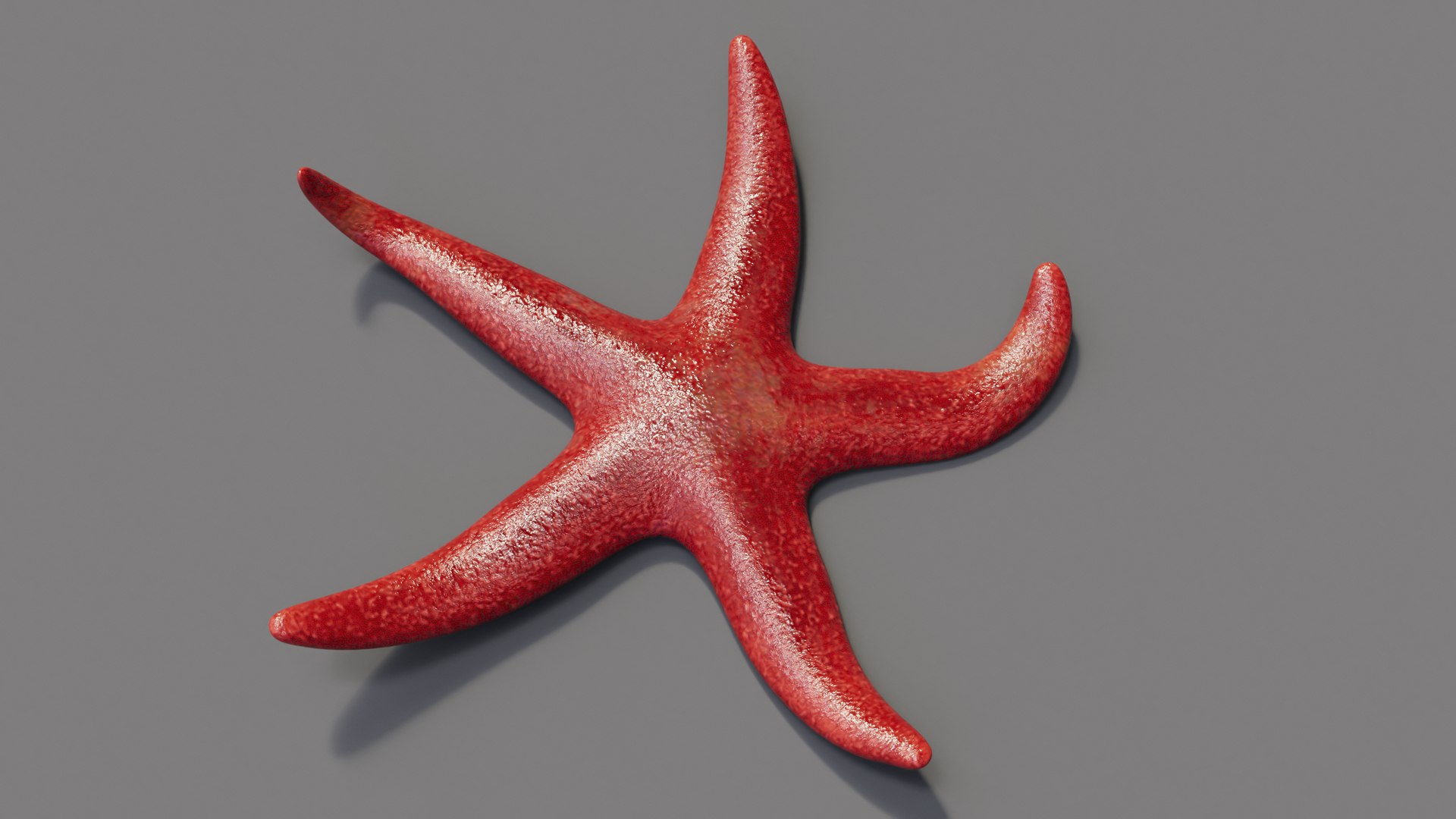 Red Starfish Blood Star 3D Model - TurboSquid 2050845