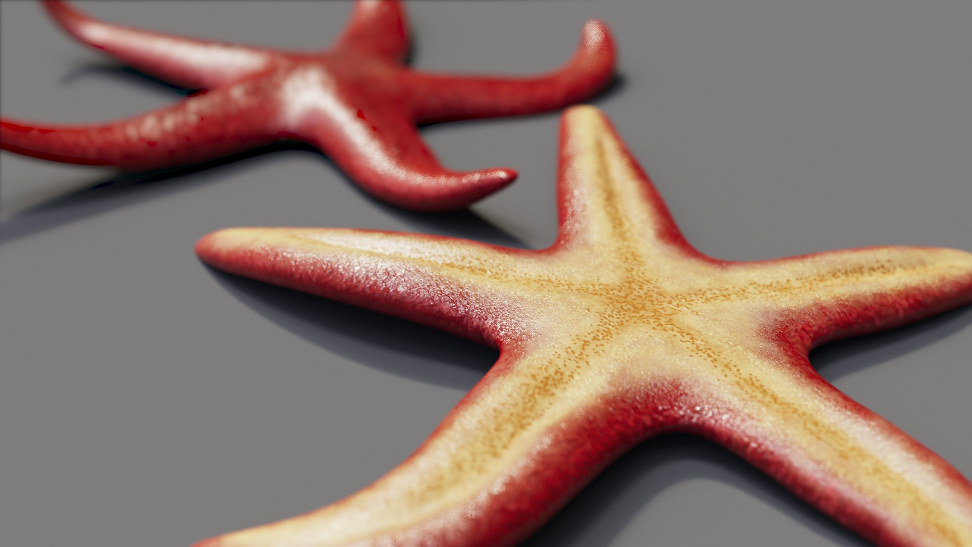 Red Starfish Blood Star 3D Model - TurboSquid 2050845