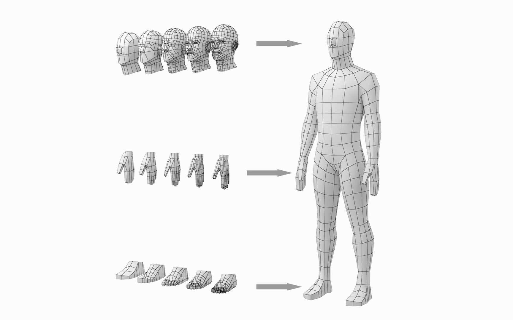 Natural Male In Rest Pose In 5 Topologies Model - TurboSquid 2119976