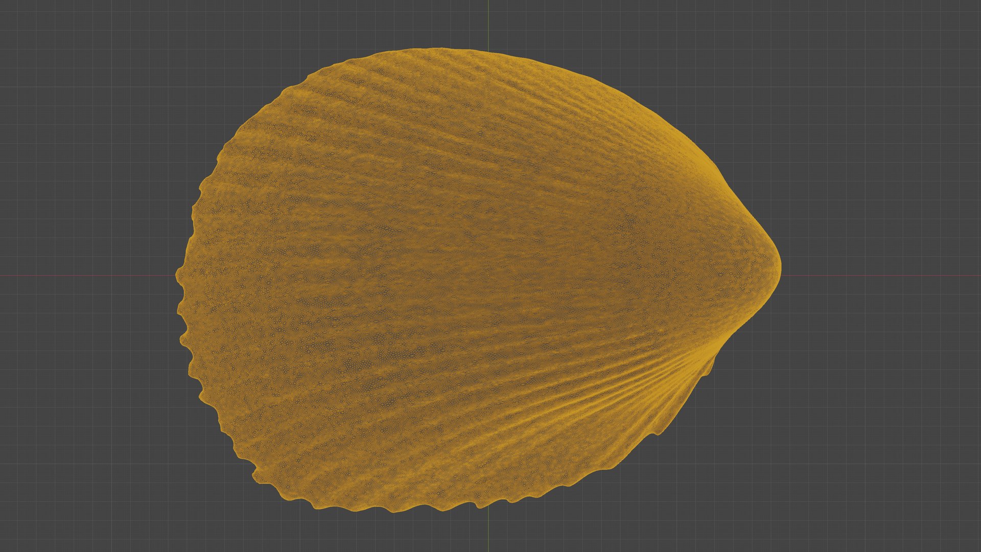 3D Scanned Seashell - TurboSquid 2345937