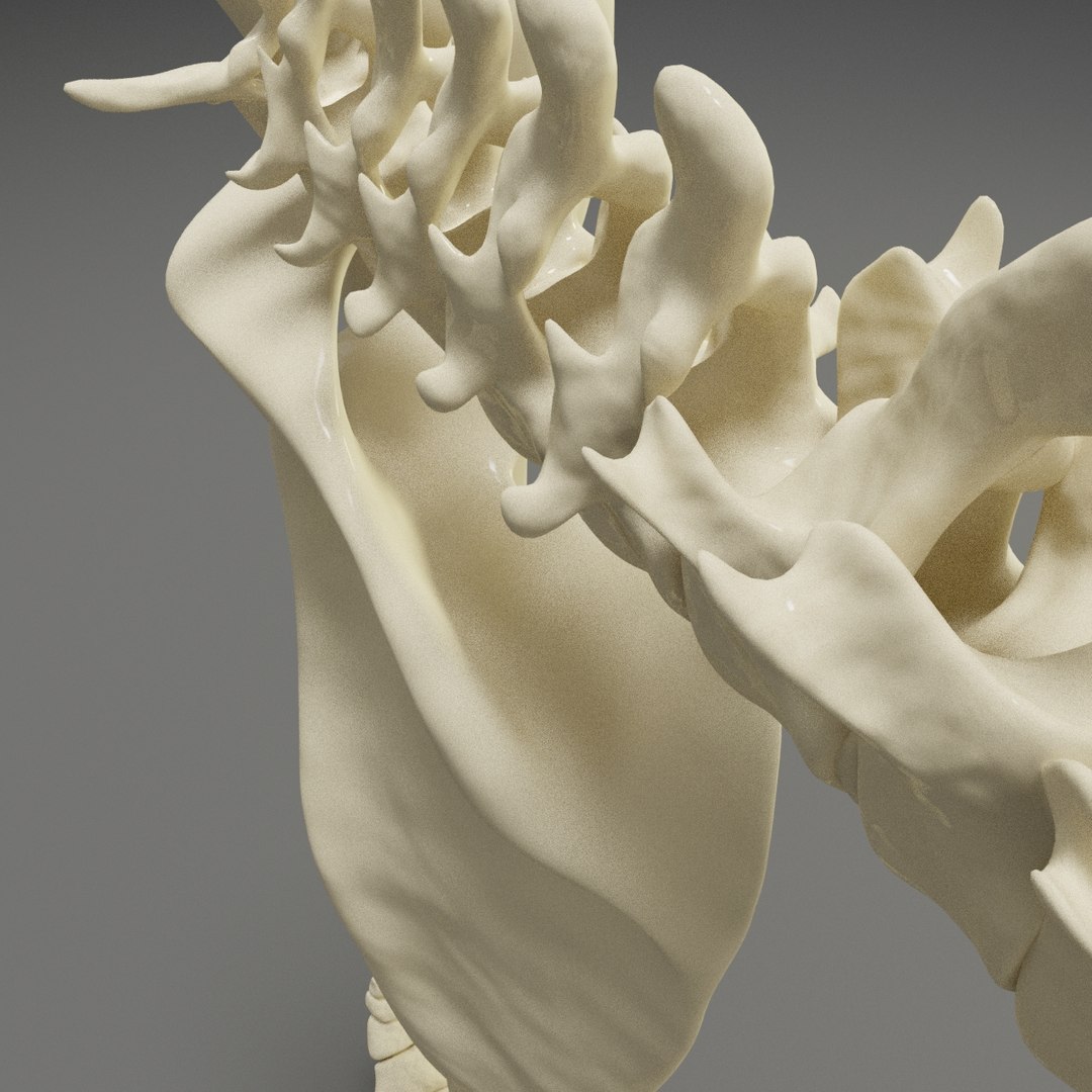 3D Letter D Bones Skeleton - TurboSquid 1543322