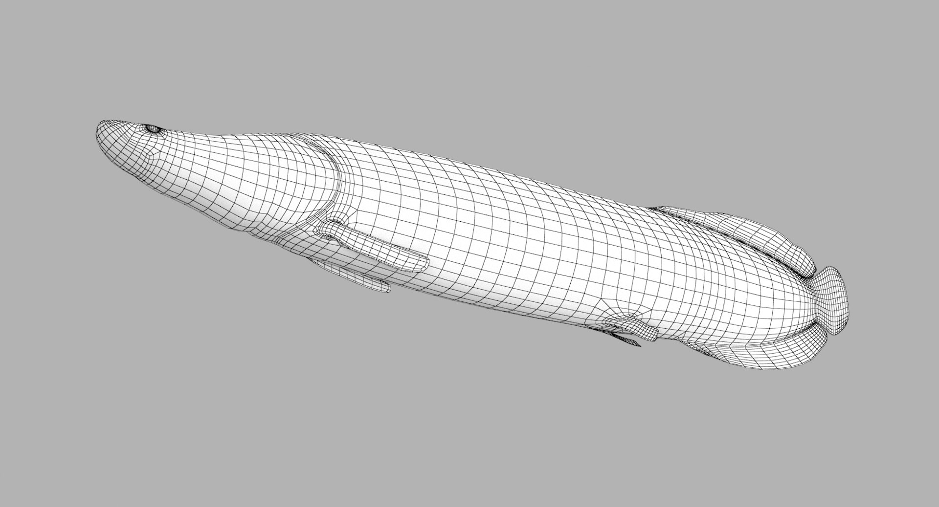 3D Arapaima Pbr Model - TurboSquid 1332100