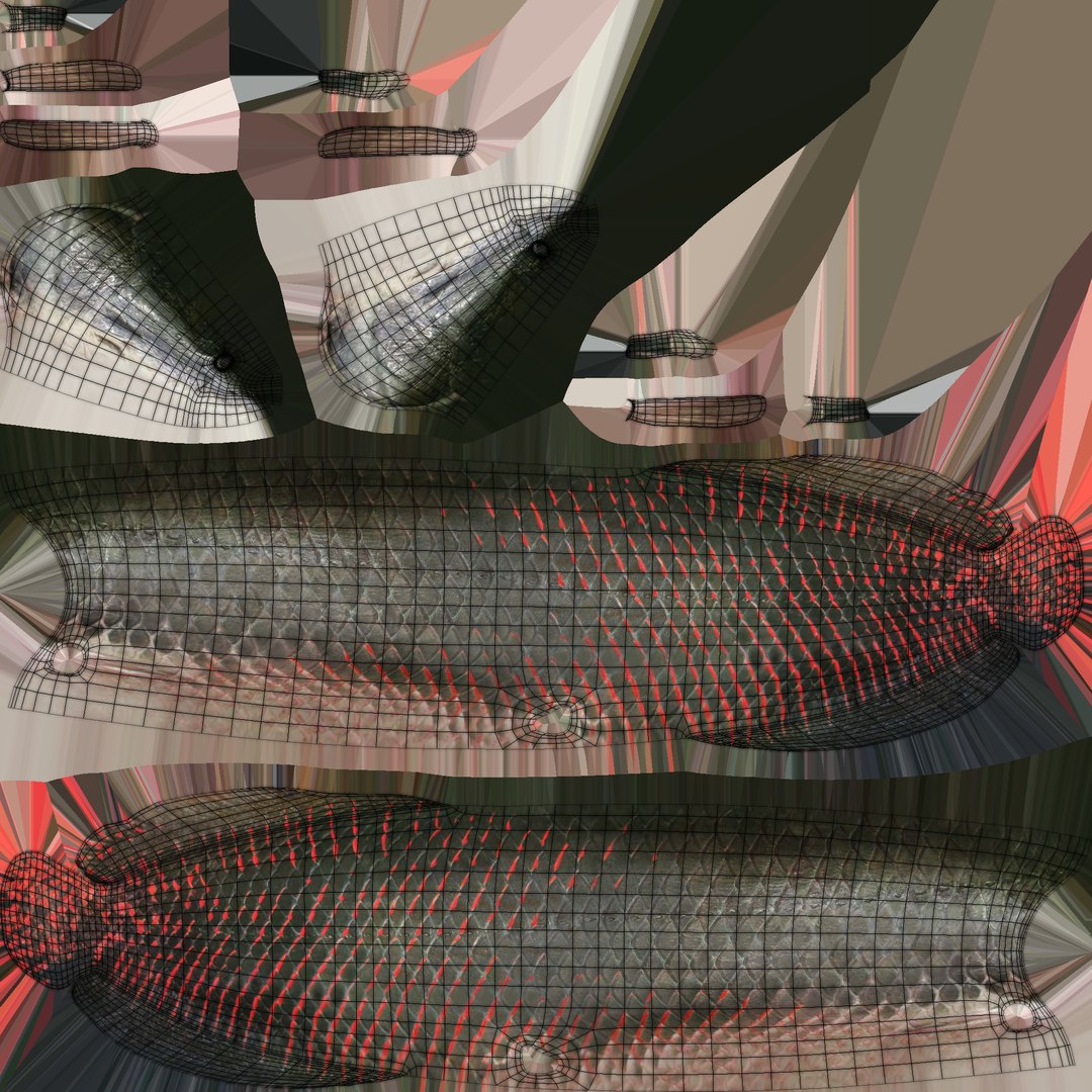 3D Arapaima Pbr Model - TurboSquid 1332100
