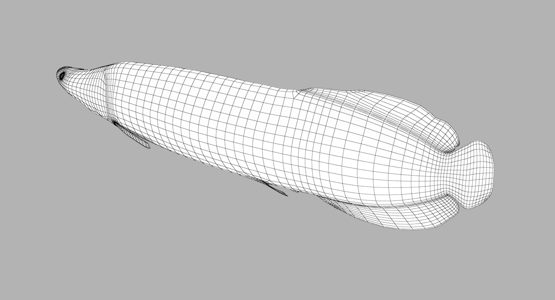 3D Arapaima Pbr Model - TurboSquid 1332100